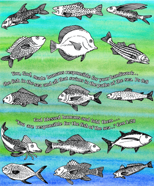 Witham URC – withamurc.org.uk